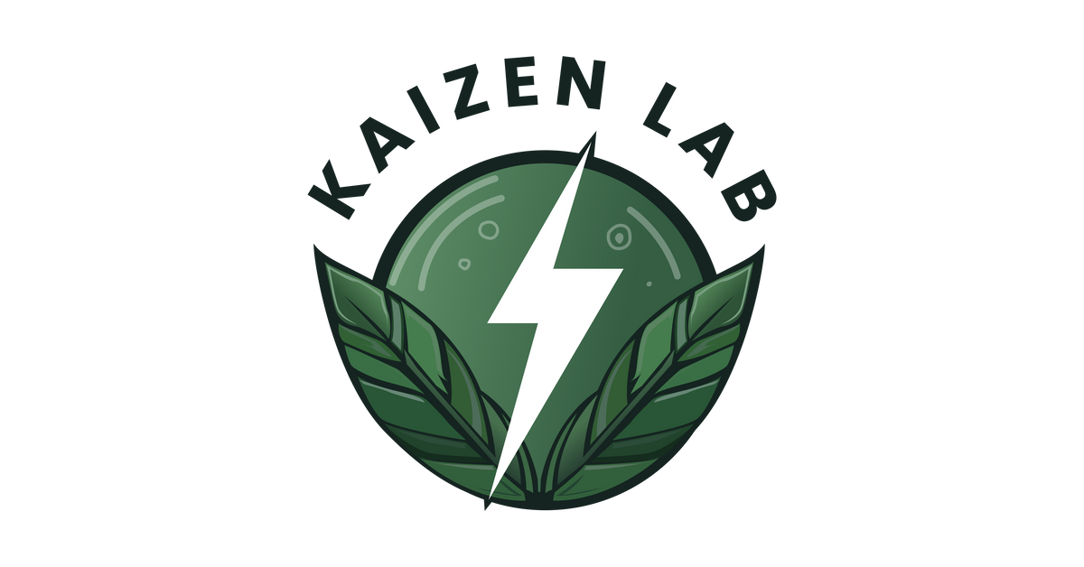 Kaizen Lab
